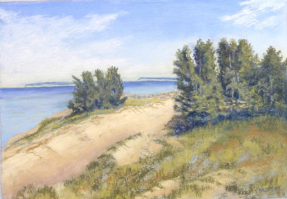 Tim Brody – Sand Dunes at Lake Michigan|Face to Face | Sonoma County