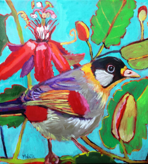 Mylette Welch – Passion Bird|Face to Face | Sonoma County